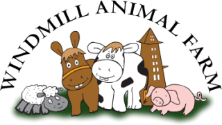 Windmill Animal Farm | Childrens Leisure